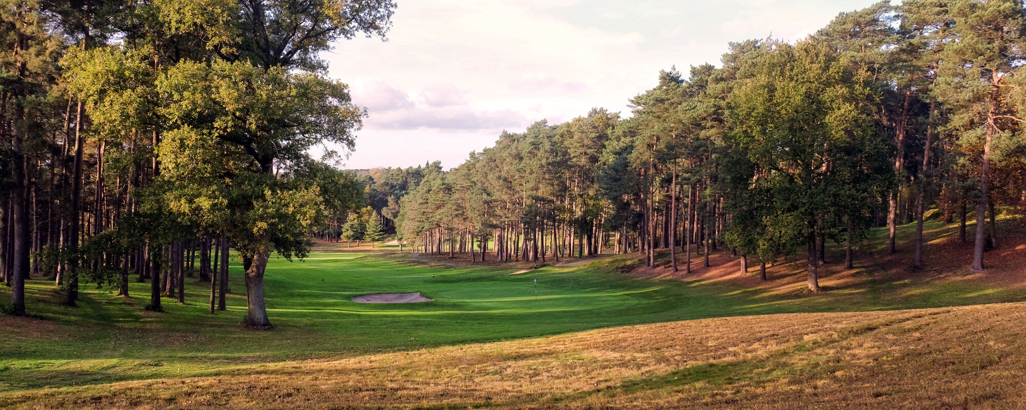 Course :: Course Guide for Camberley Heath Golf Club